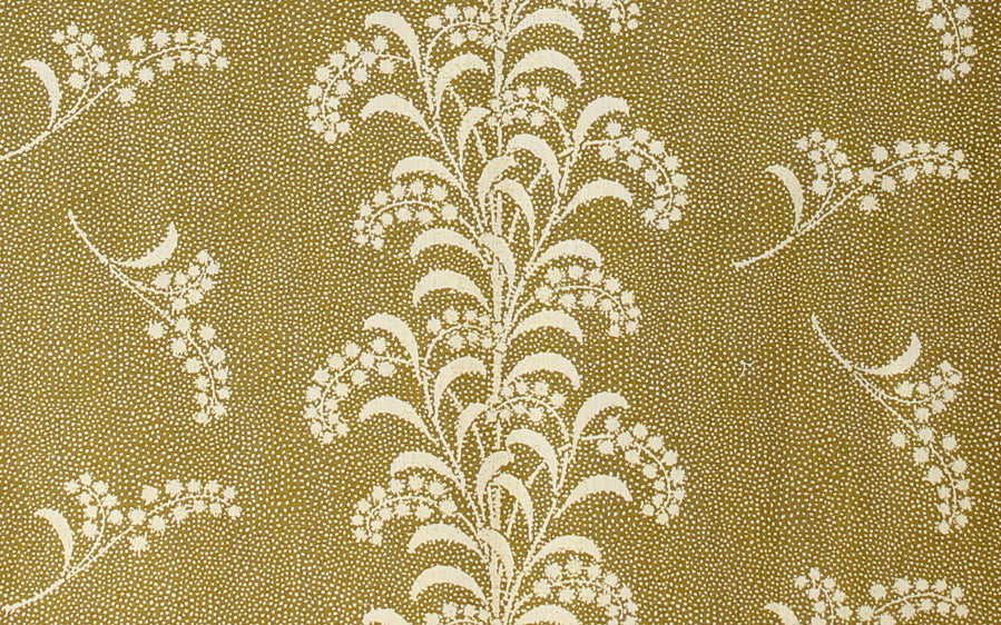 Mimosa Vine | CI - Green - JAMES Showroom